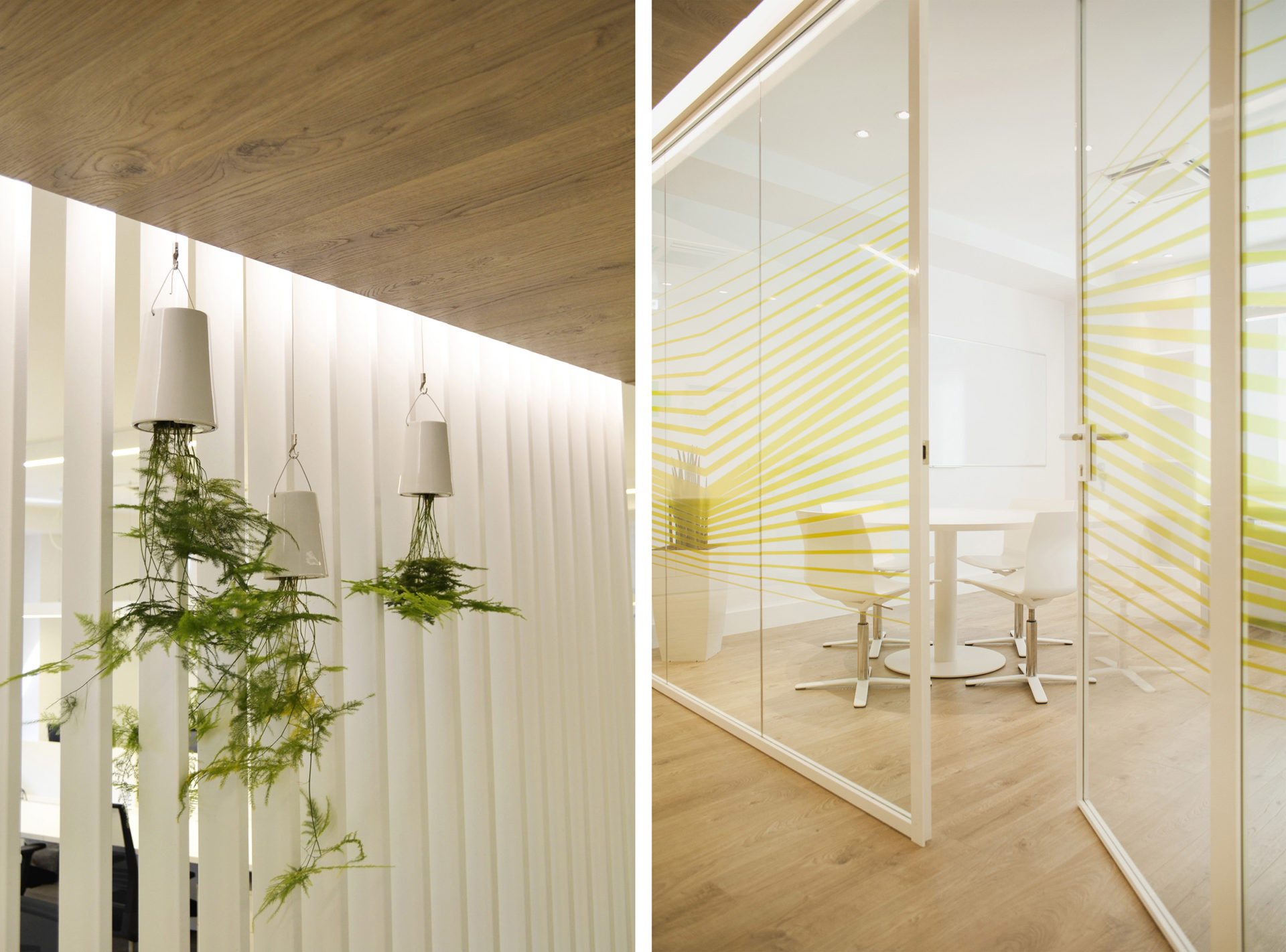 TAP Offices – MAs.